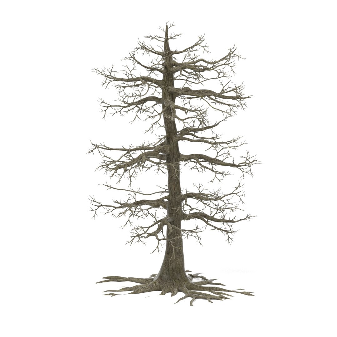 Big Dead Oak Tree 3d Model