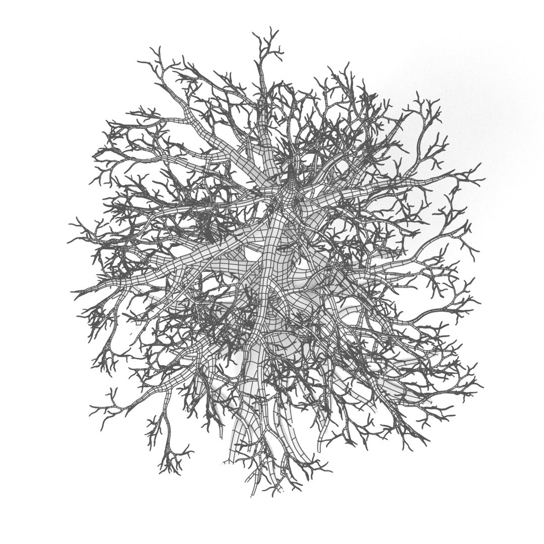 Big Dead Oak Tree 3d Model