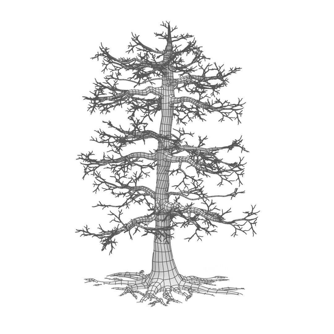 Big Dead Oak Tree 3d Model
