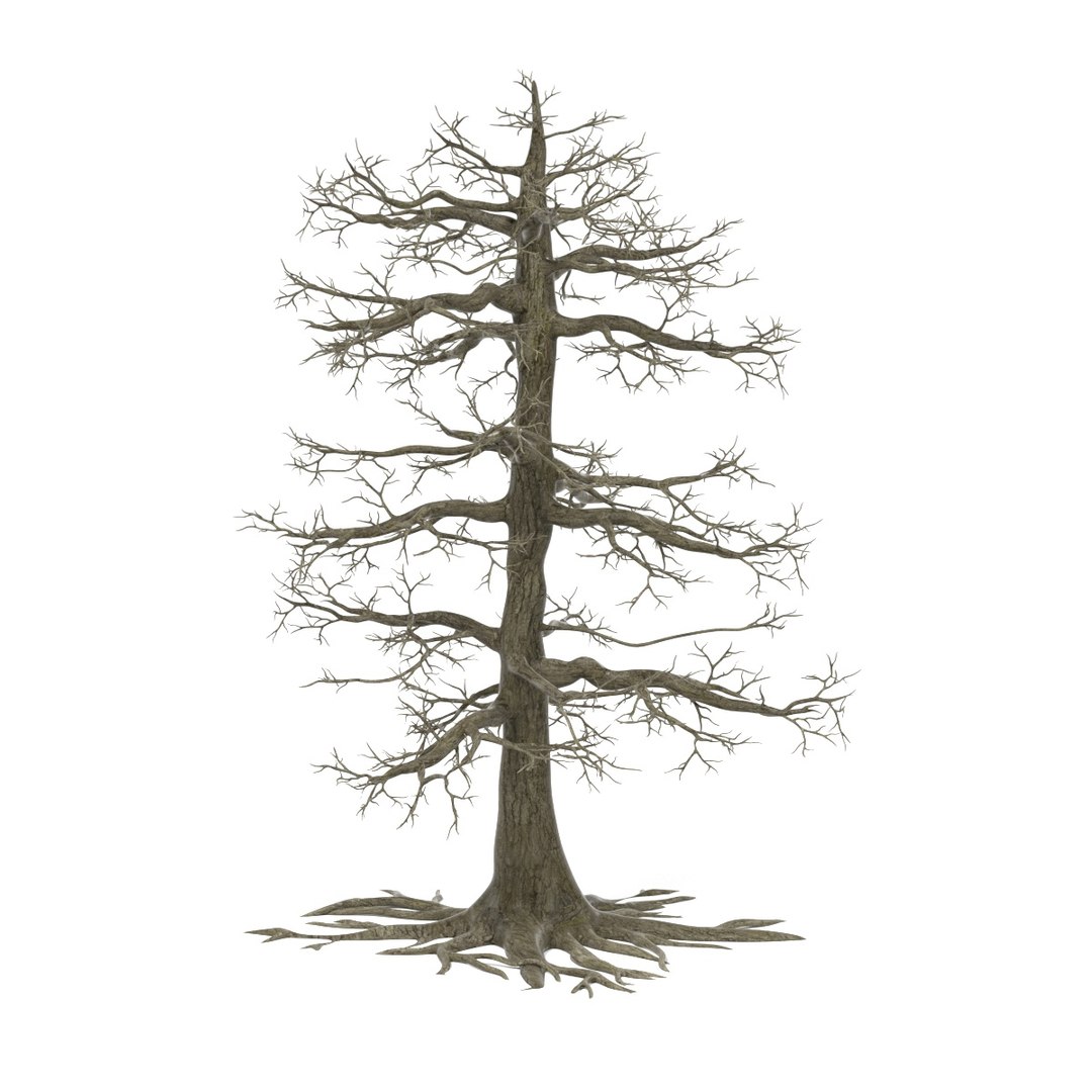 Big Dead Oak Tree 3d Model