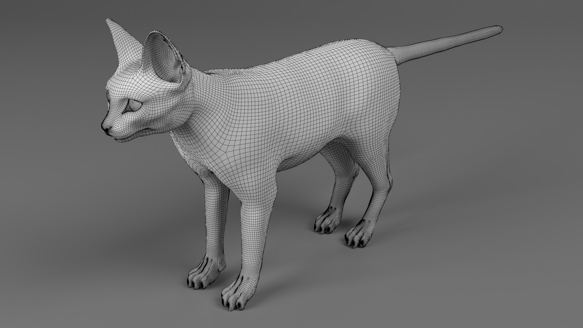 Cat Siamese ANIMATED 3D model - TurboSquid 2044655