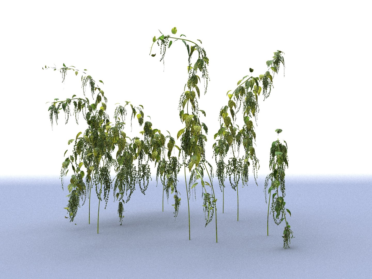 3D Model Nettle Mega Pack Ecosystems - TurboSquid 1312090