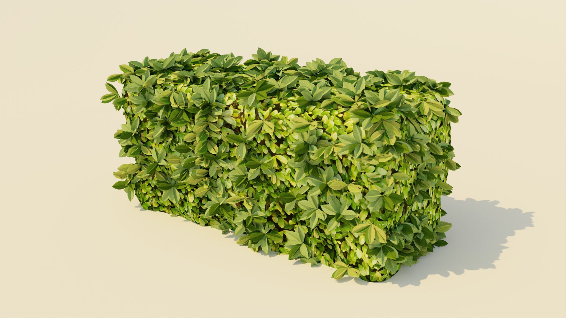 Hedge Stylized 3D Model - TurboSquid 1630301