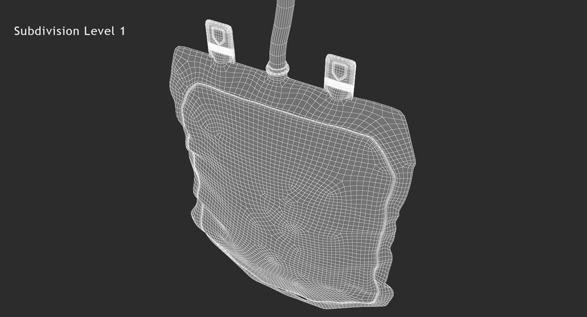 Realistic Blood Bag 3d Model