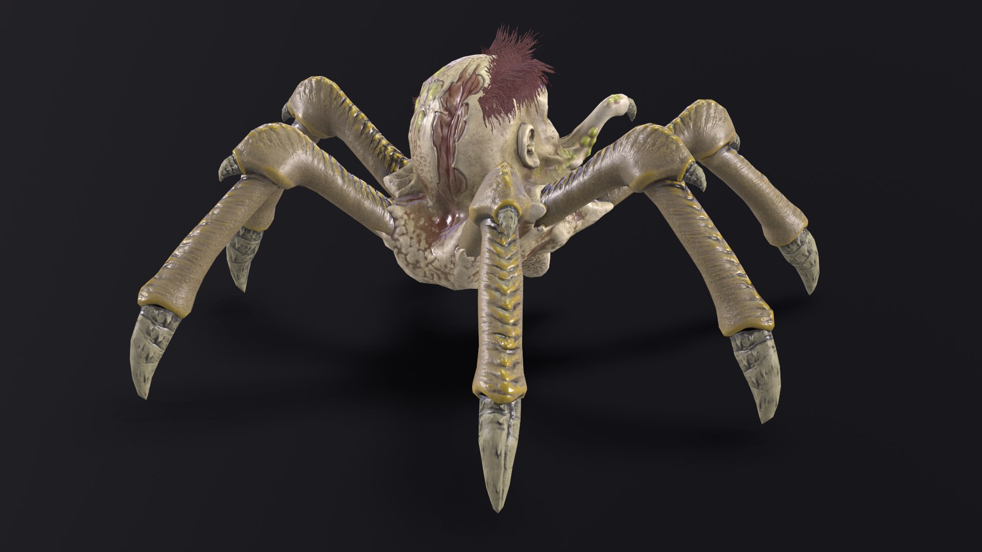 3D Spider Head - TurboSquid 2311599