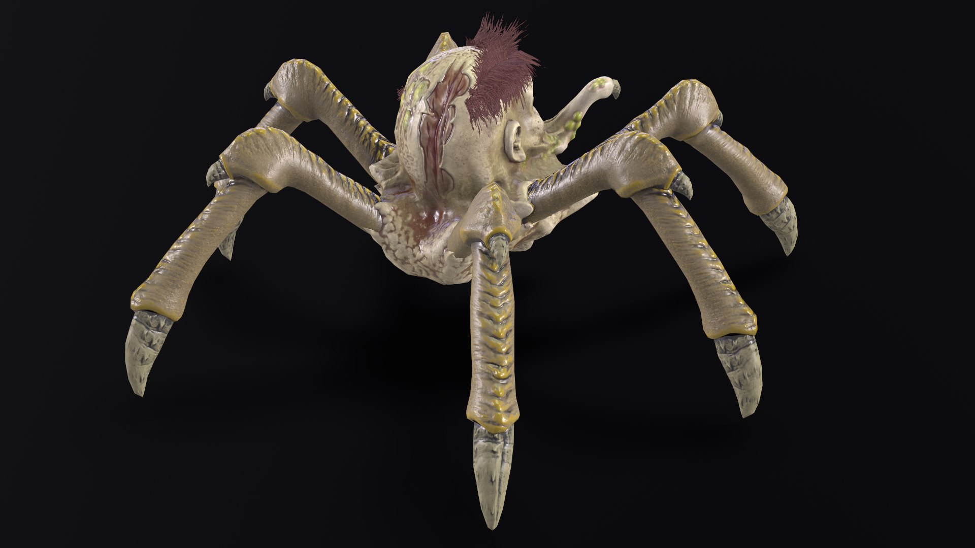 3D Spider Head - TurboSquid 2311599