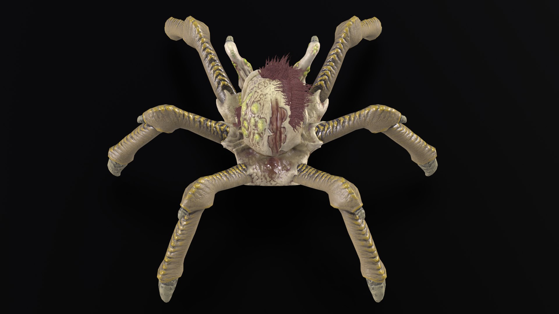 3D Spider Head - TurboSquid 2311599