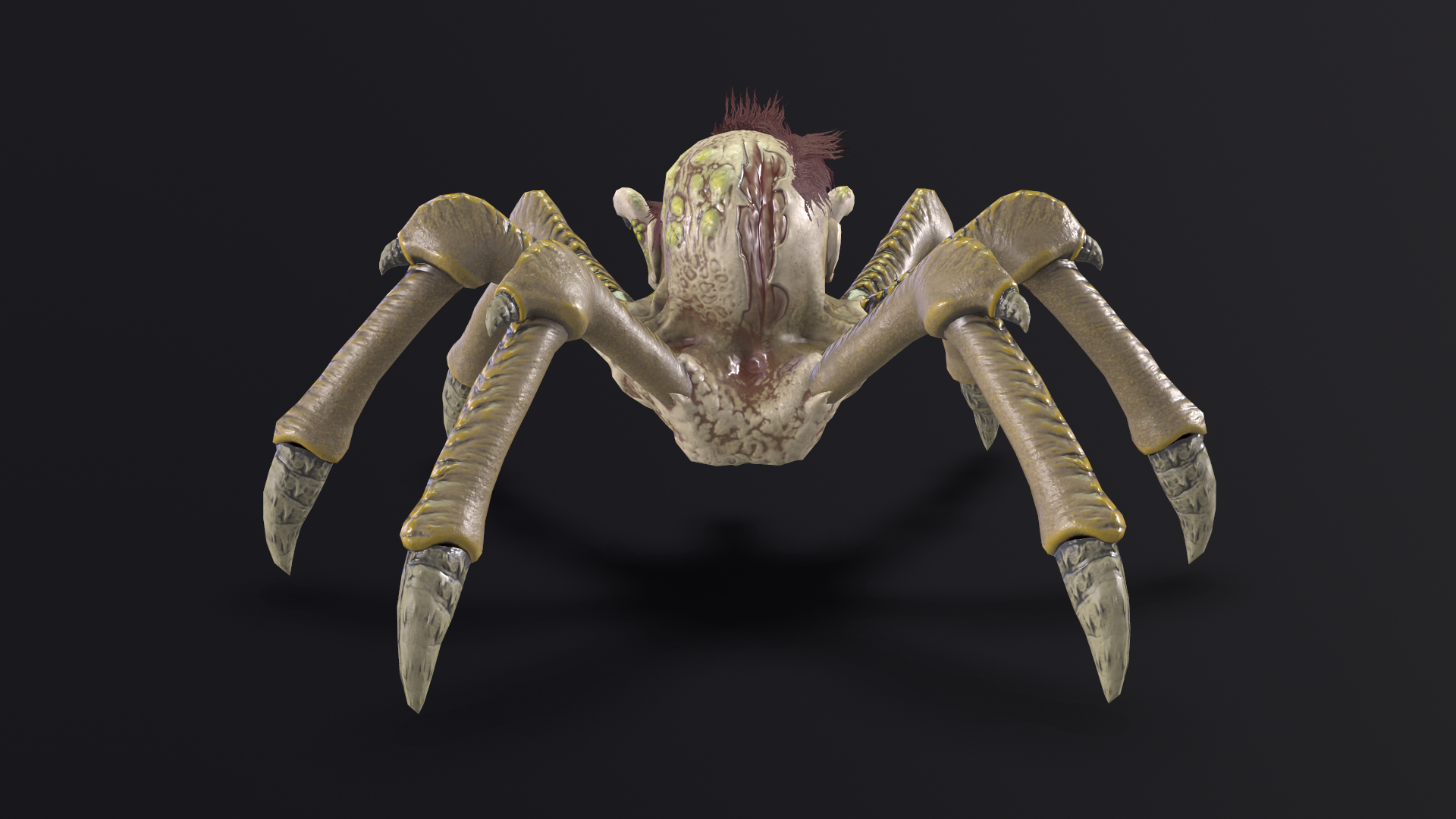 3D Spider Head - TurboSquid 2311599