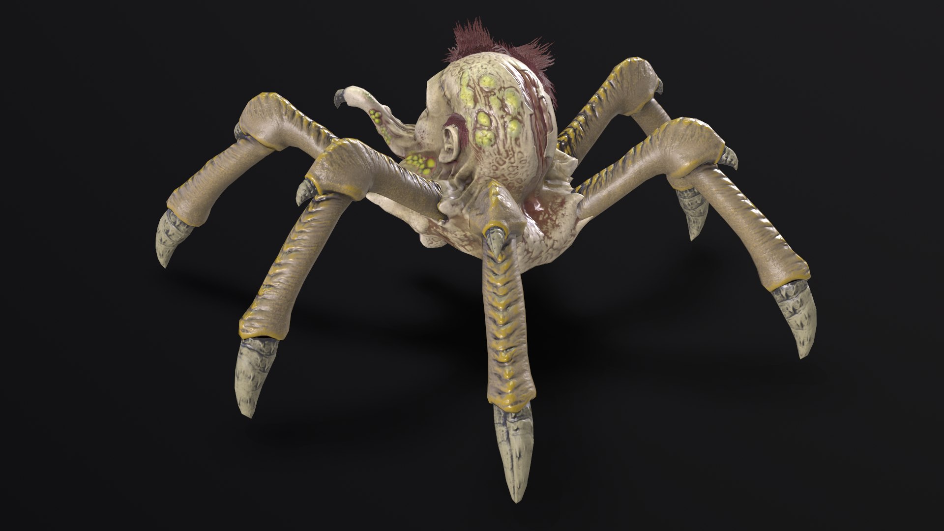 3D Spider Head - TurboSquid 2311599