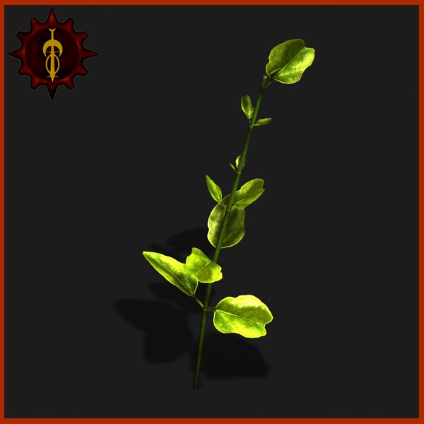 3d small plant model