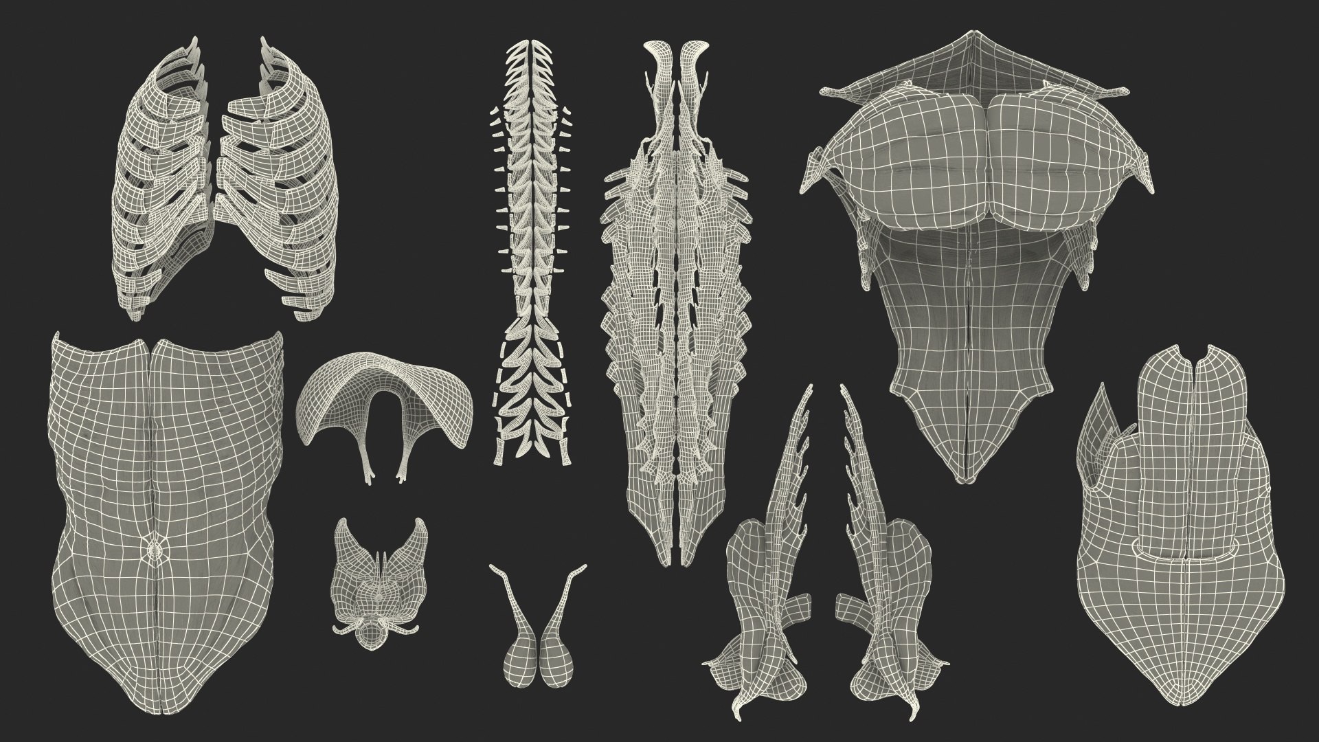 3D model human torso muscular body - TurboSquid 1462554