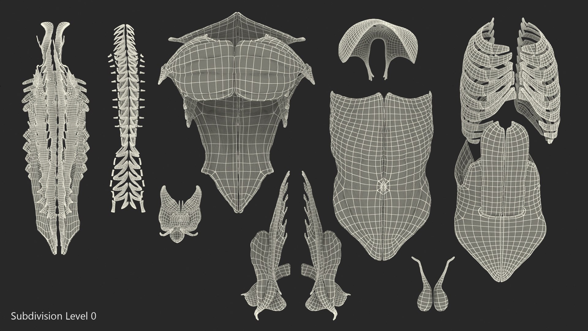 3D Model Human Torso Muscular Body - TurboSquid 1462554