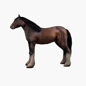 Draft Horse 3D Models for Download | TurboSquid