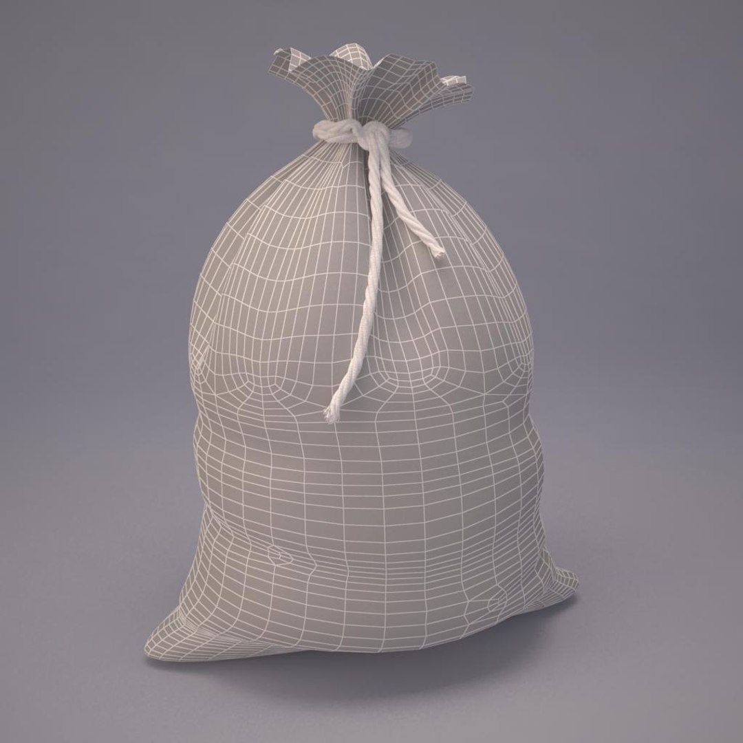 3d Money Bag