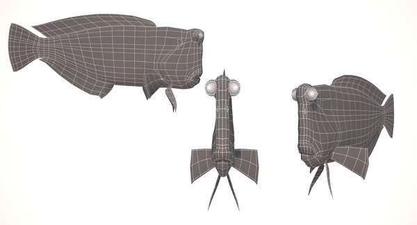 Cartoon fish model - TurboSquid 1152891