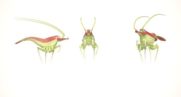 Cartoon fish model - TurboSquid 1152891