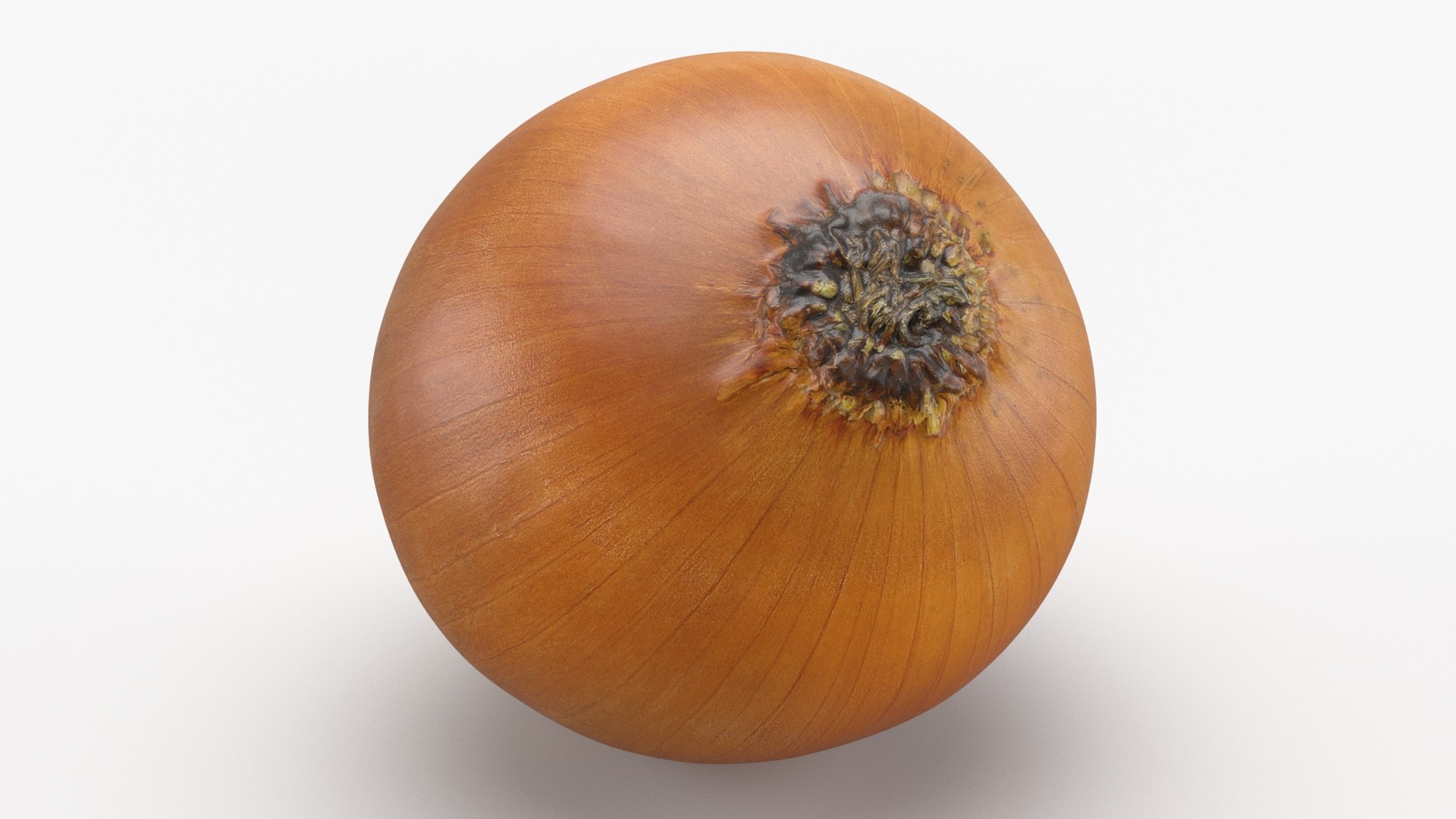 3D Whole Onion Model - TurboSquid 1772913