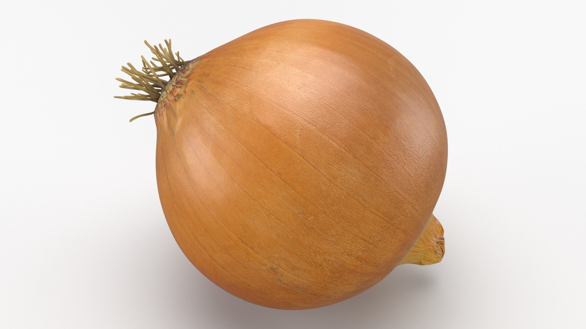 3D Whole Onion Model - TurboSquid 1772913