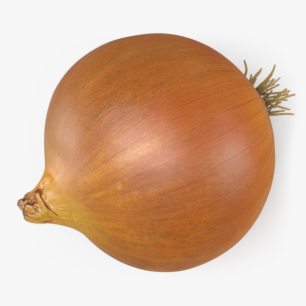 3D Whole Onion model - TurboSquid 1772913