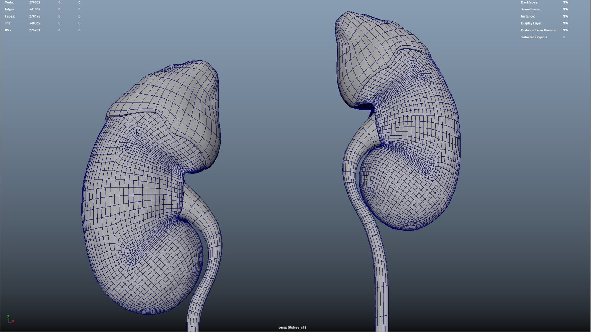 3D Human Natural Body With Kidney Model - TurboSquid 1891160