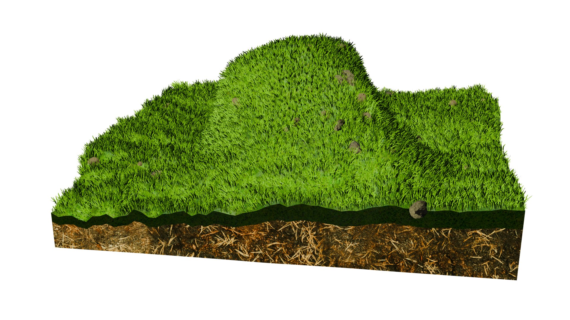 3D Hill With Rocky Grass 2 - TurboSquid 2183392