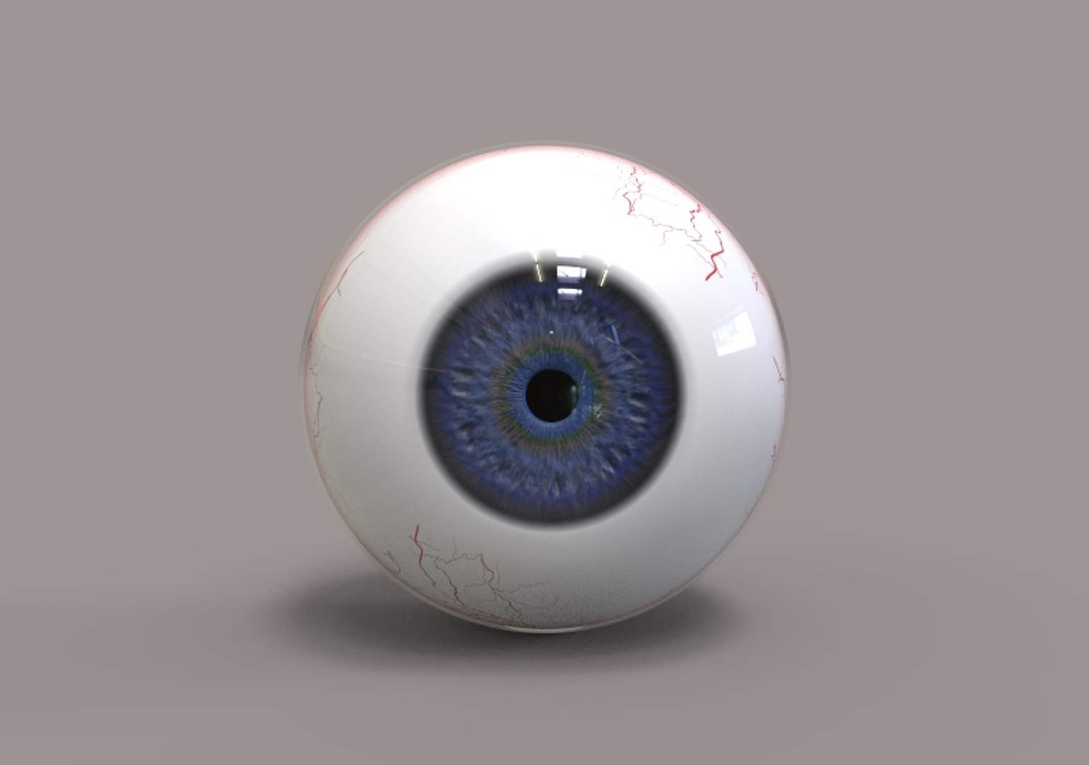 Human Eye 3D - TurboSquid 1350171