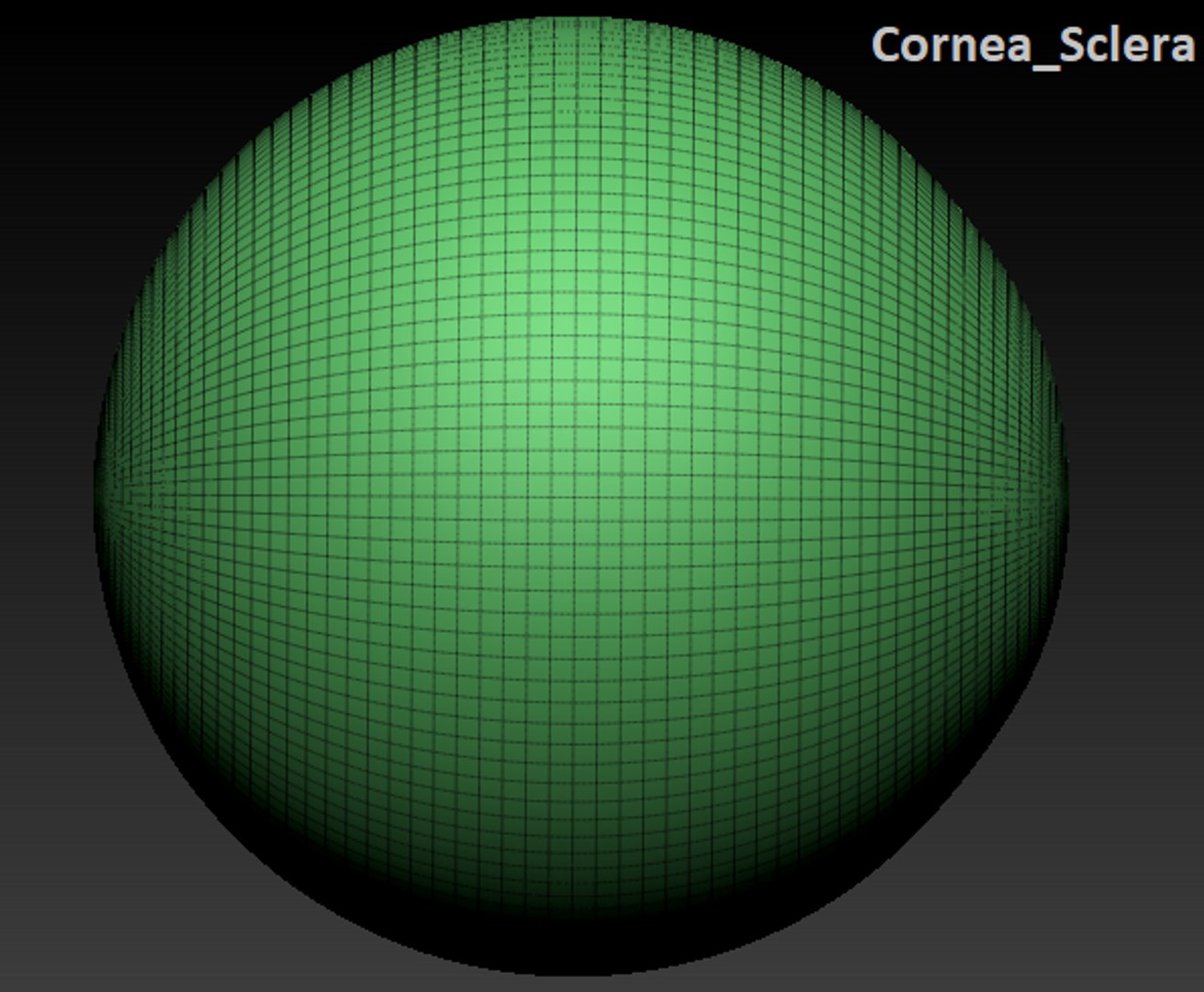 Human Eye 3D - TurboSquid 1350171