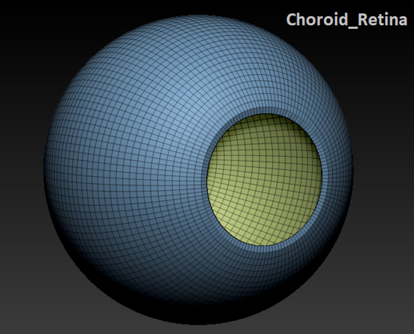 Human Eye 3D - TurboSquid 1350171