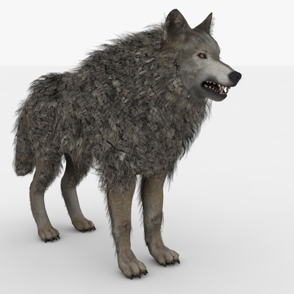 modelo 3d Wolf Rigged anf Animated - TurboSquid 1909021