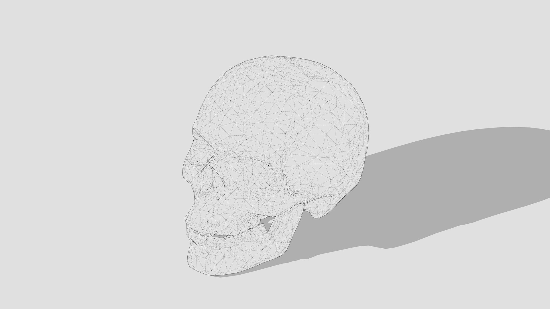 3D Skull Model - TurboSquid 2391095