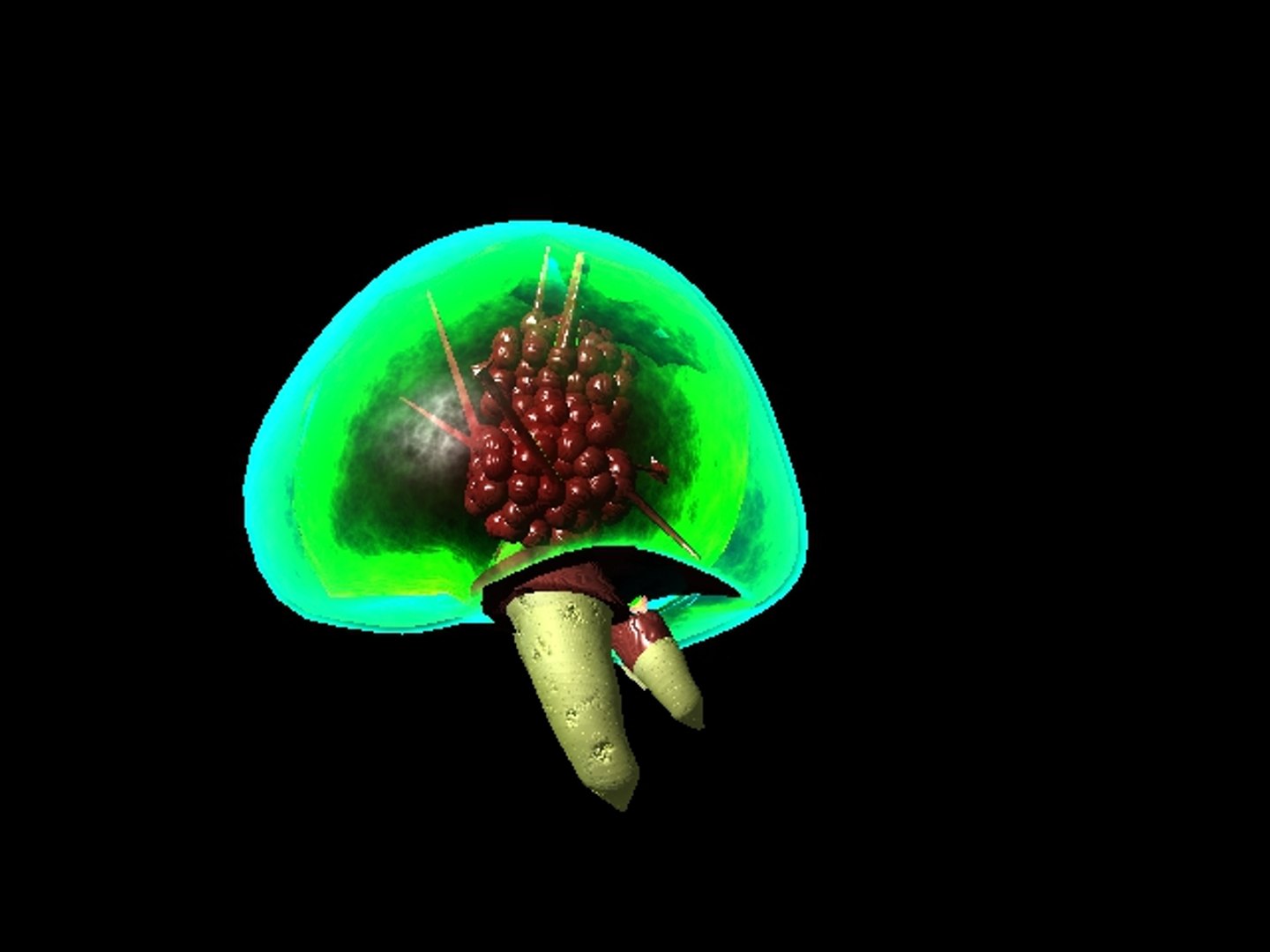 Metroid Parasite Alien Lwo Free