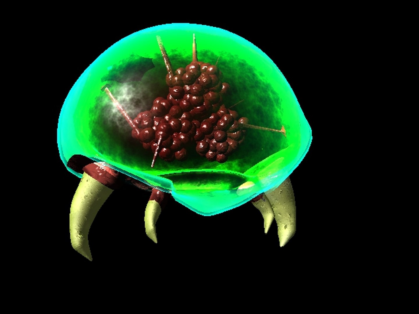 Metroid Parasite Alien Lwo Free