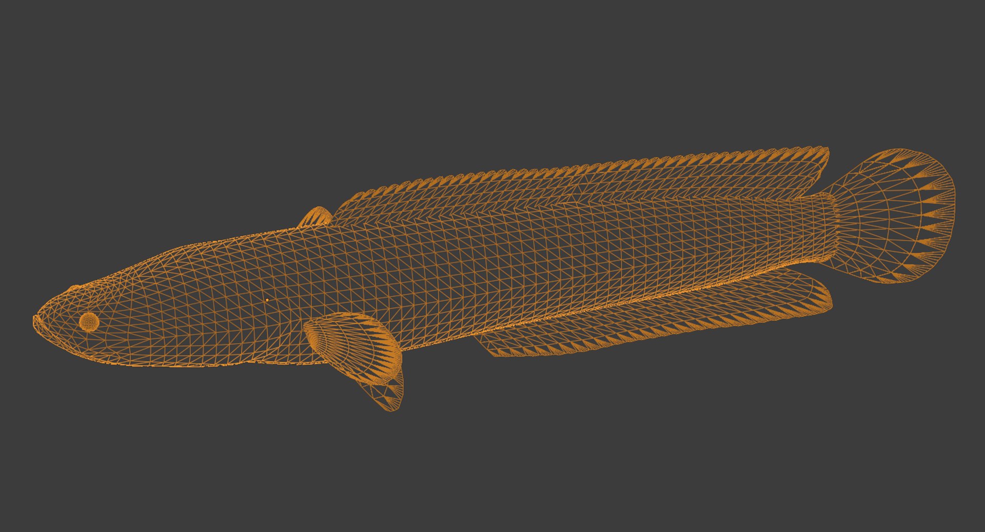 Northern Snakehead 3d Model