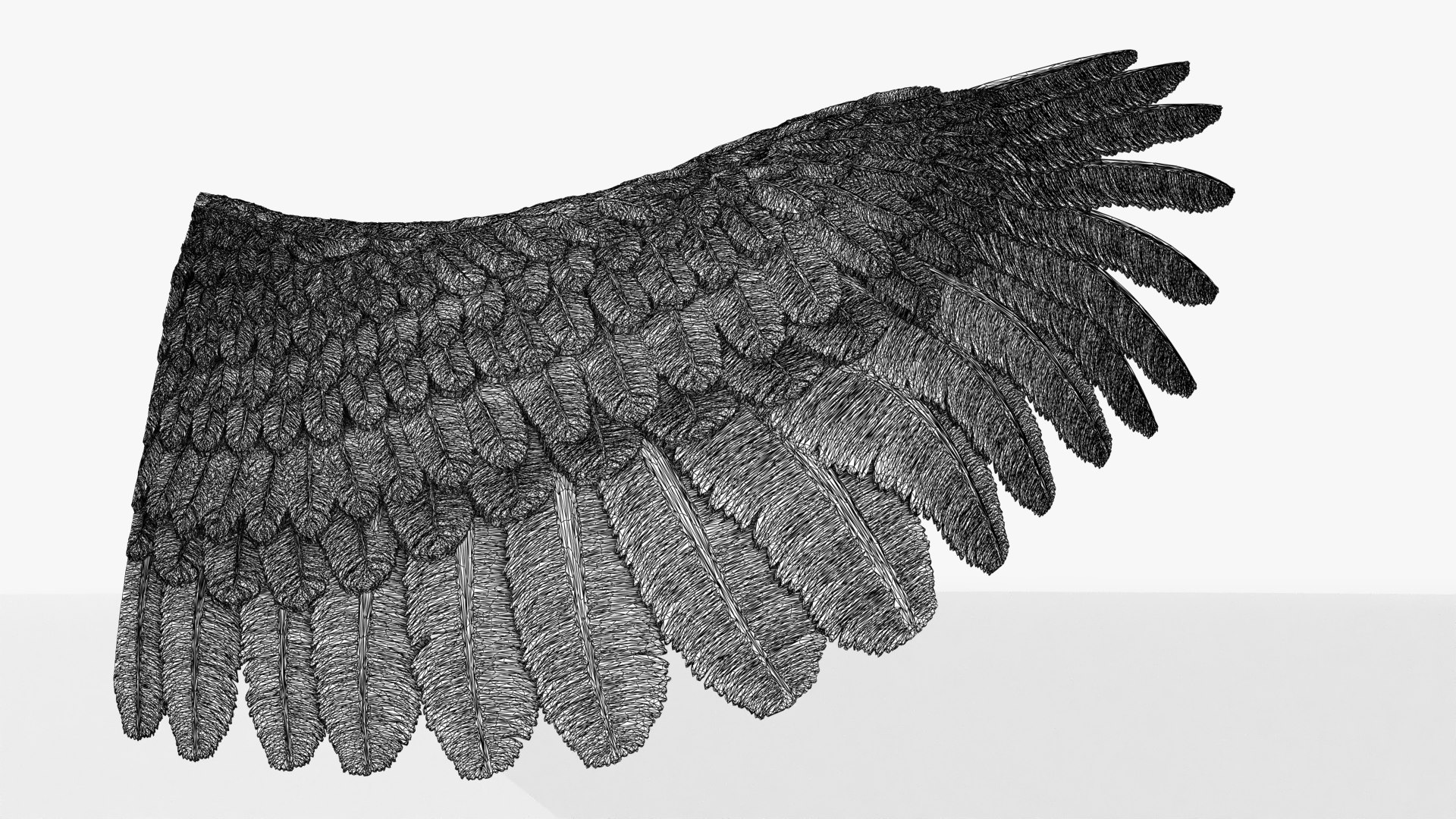Wing 01 3D Model - TurboSquid 2025563