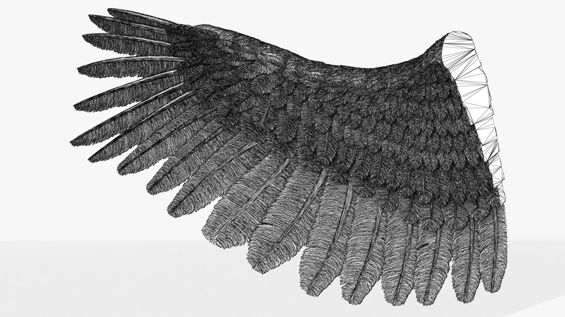 Wing 01 3D Model - TurboSquid 2025563