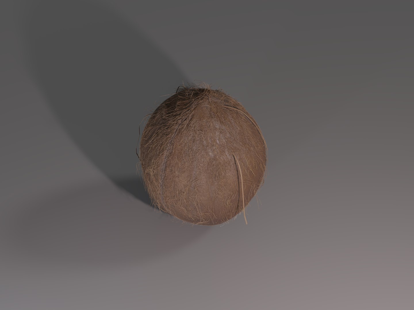 Coconut Half 3D Model - TurboSquid 1457359