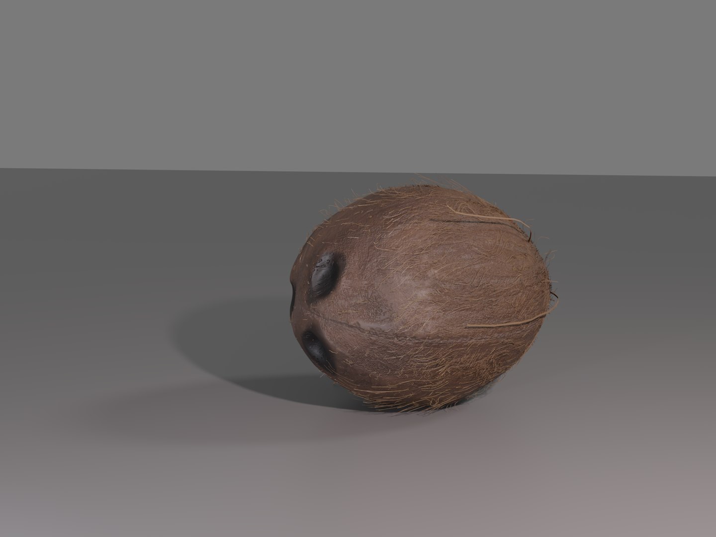Coconut Half 3D Model - TurboSquid 1457359