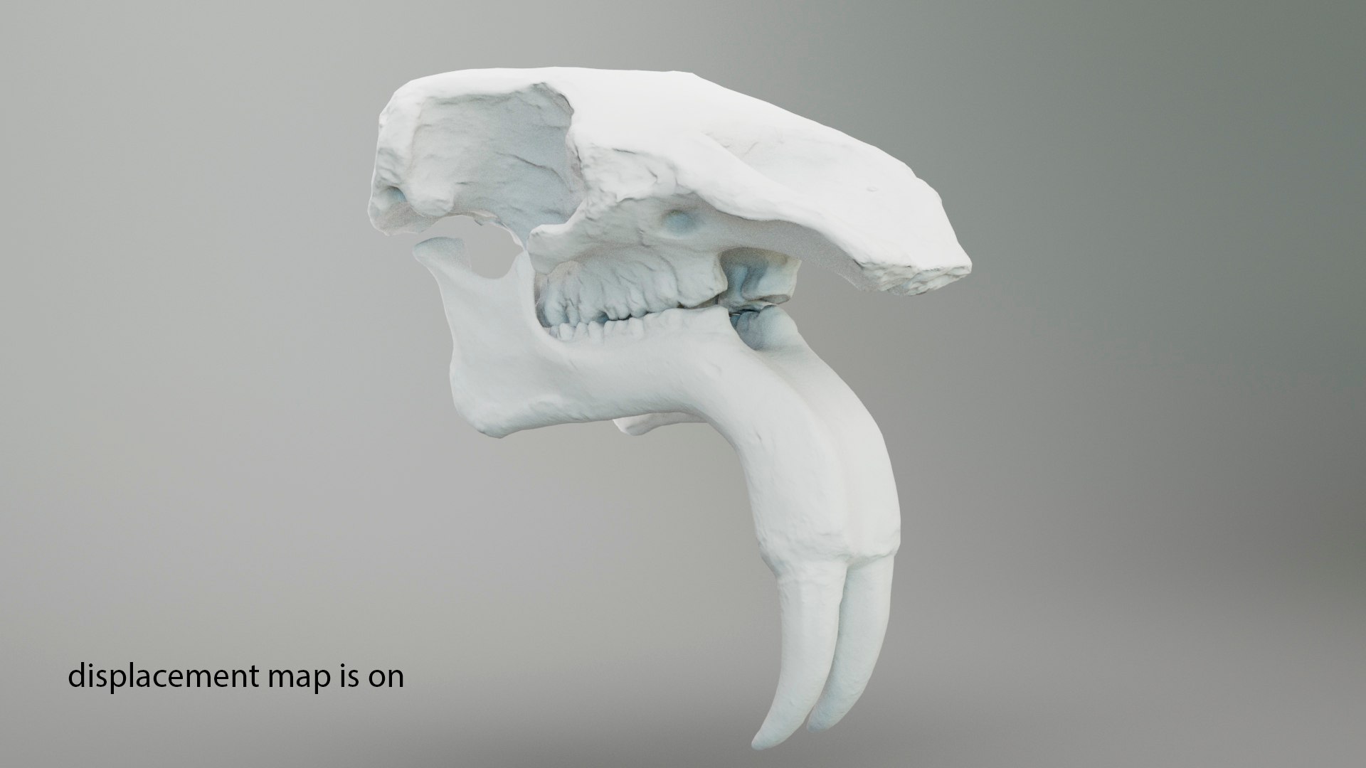 Deinotherium Skull Model 3D - TurboSquid 1960445