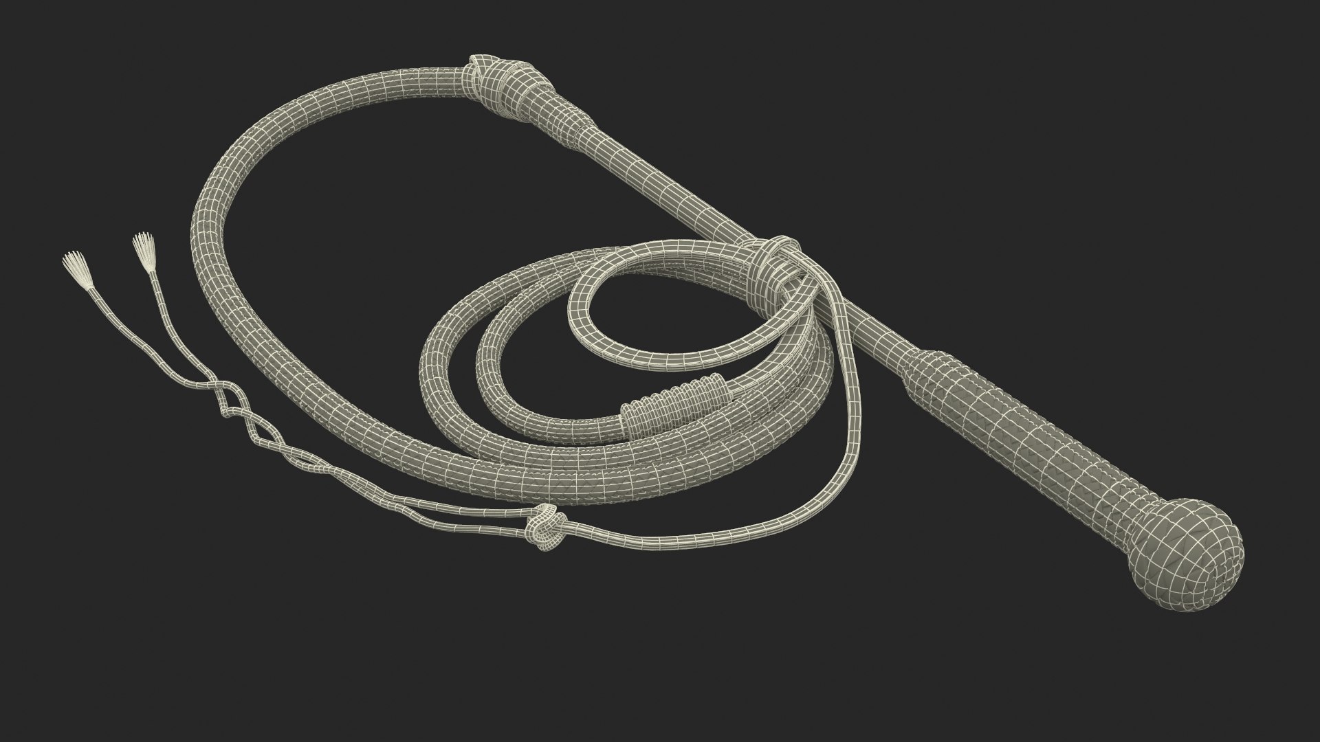Leather Bullwhip Coiled Black Rigged For Maya Model - TurboSquid 2270864