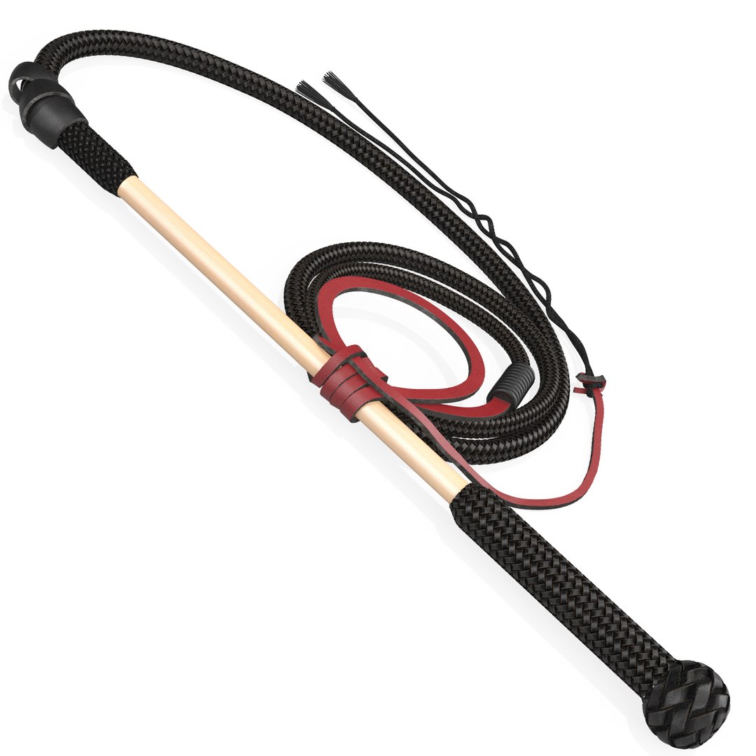 Leather Bullwhip Coiled Black Rigged For Maya Model - TurboSquid 2270864