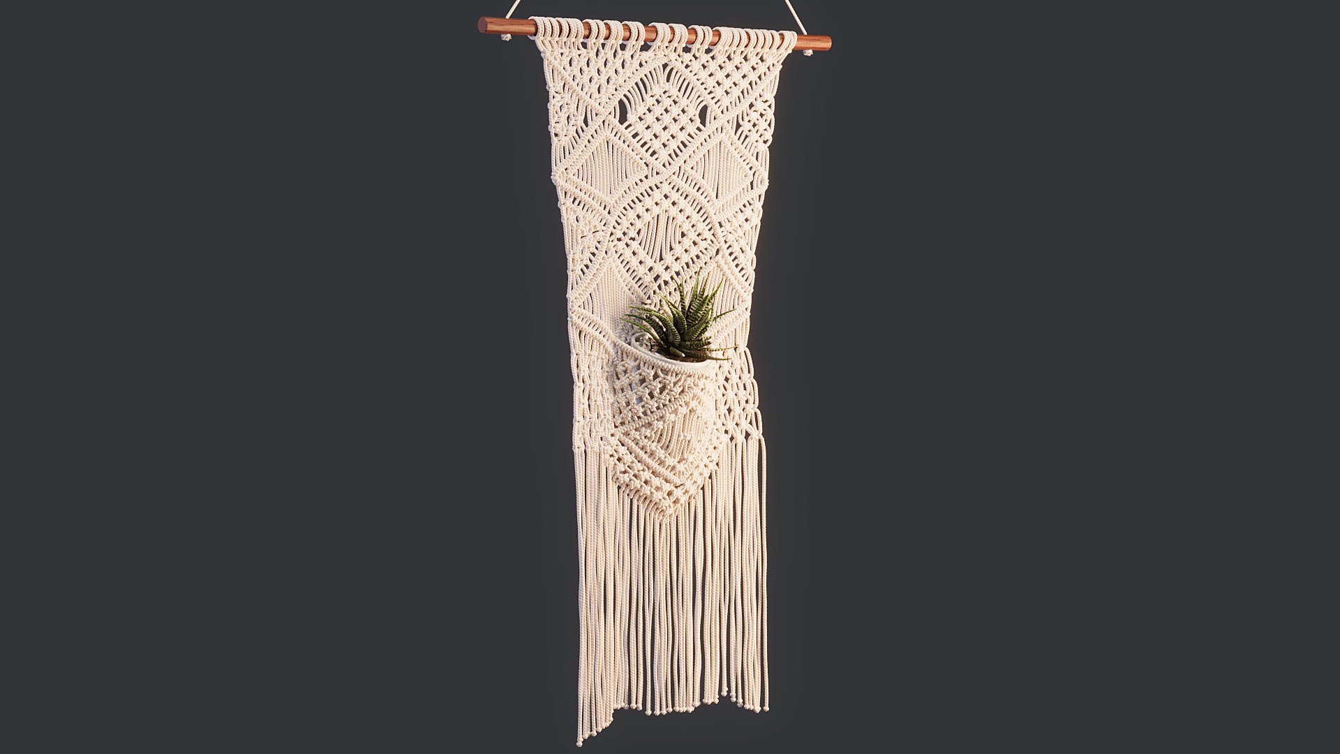 3D Macrame With Succulent Plant Model - TurboSquid 2010038