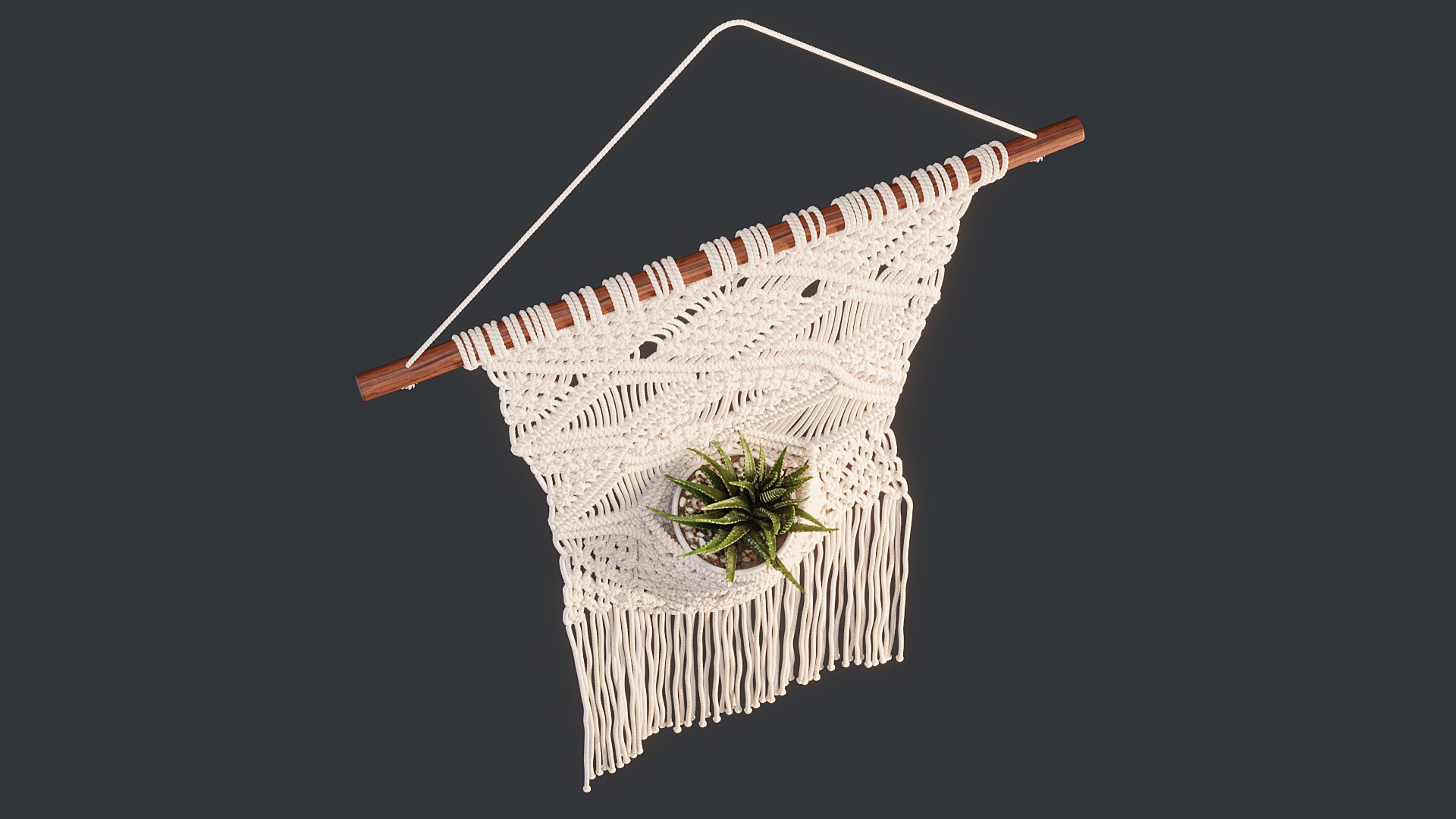 3D Macrame with Succulent Plant model - TurboSquid 2010038