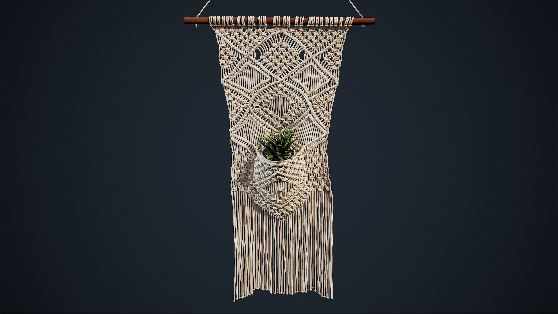 3D Macrame With Succulent Plant Model - TurboSquid 2010038