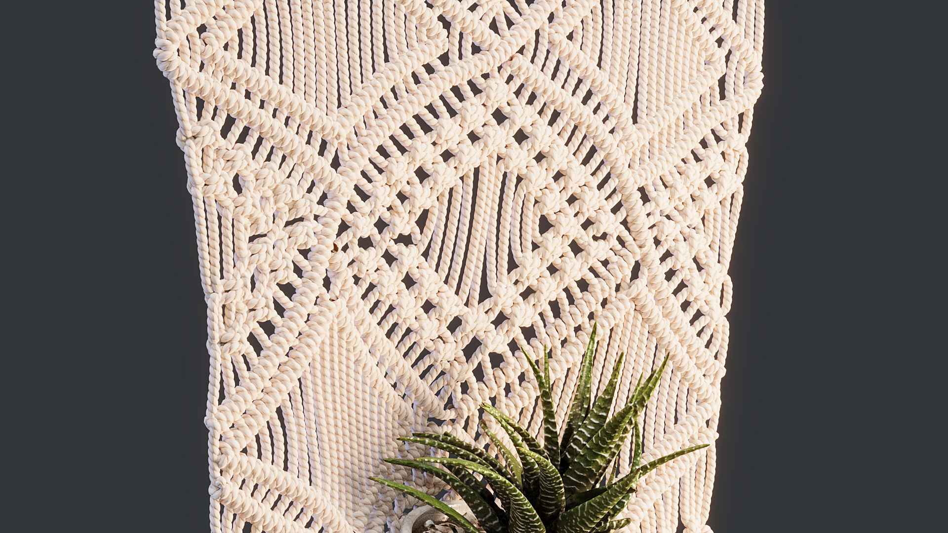 3D Macrame With Succulent Plant Model - TurboSquid 2010038