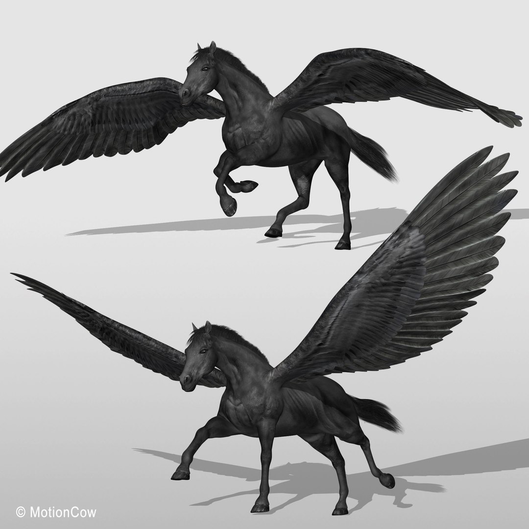 Black Looped Flying Max