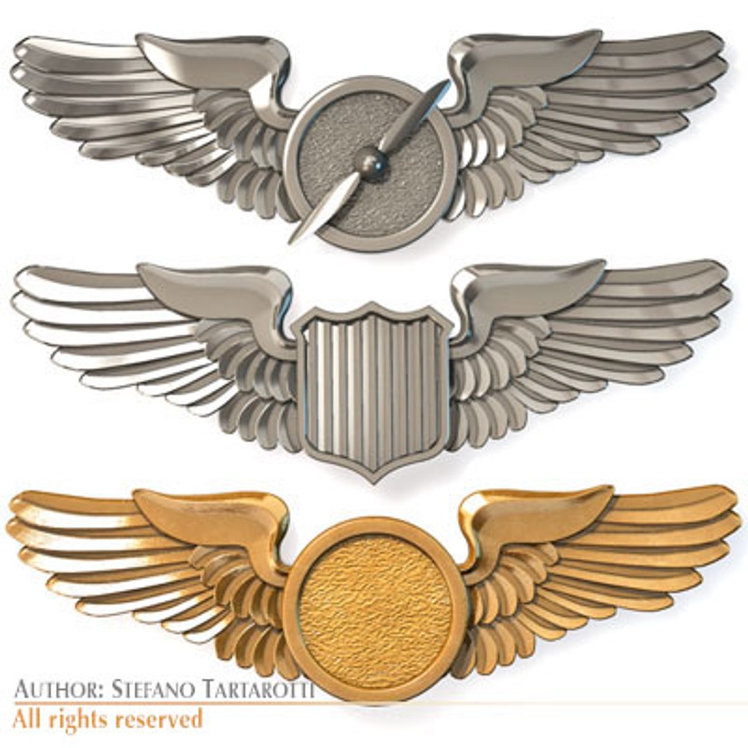 Aviation Wings Badges 3ds