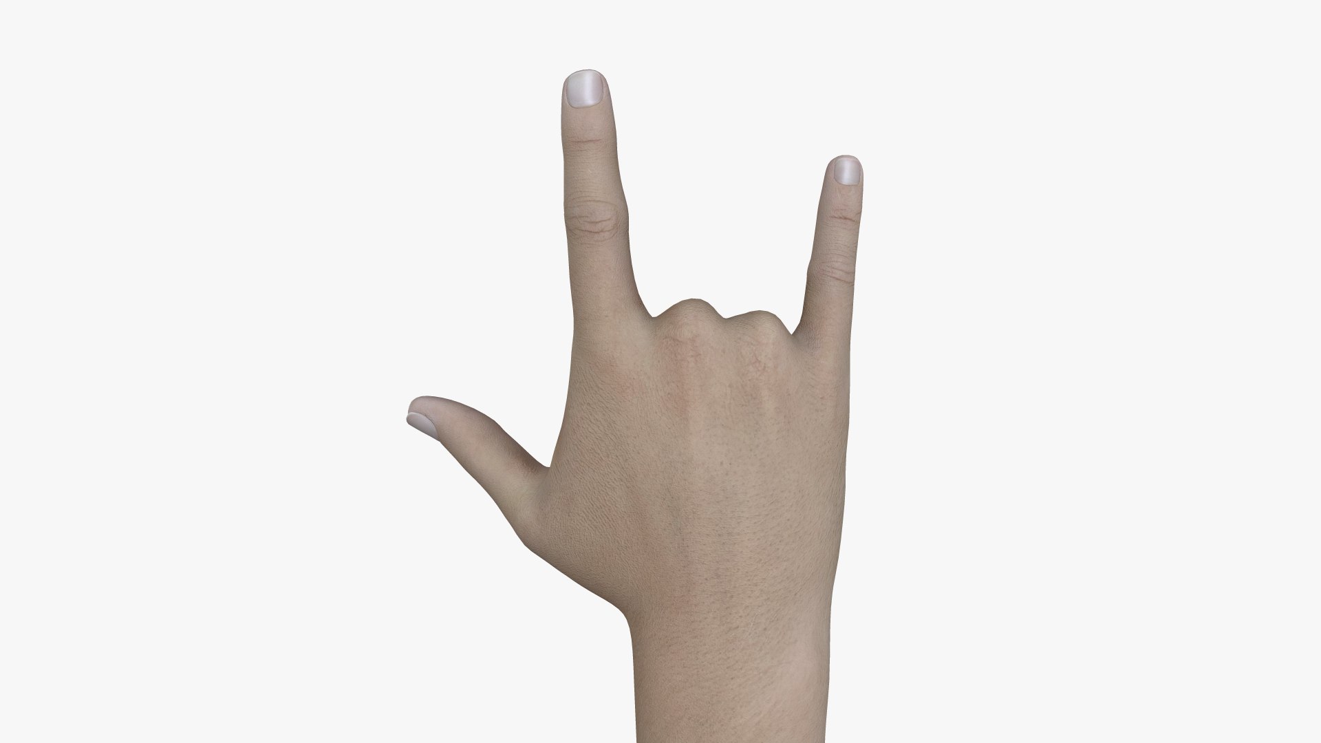 3D HND-010 Right Hand - TurboSquid 1980337