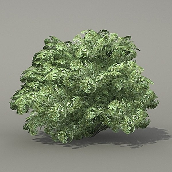 3d shrub model