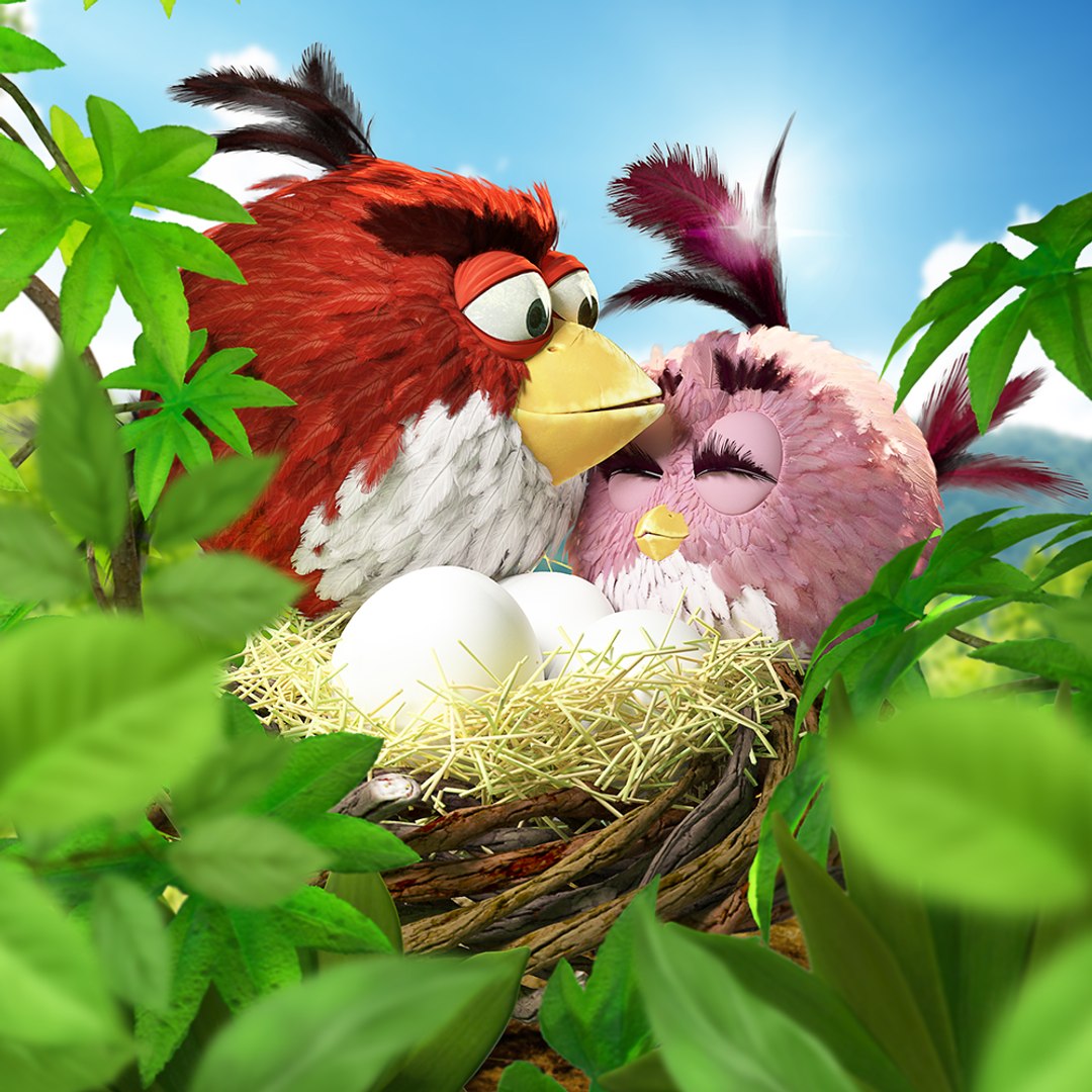 3d Scene Angry Birds