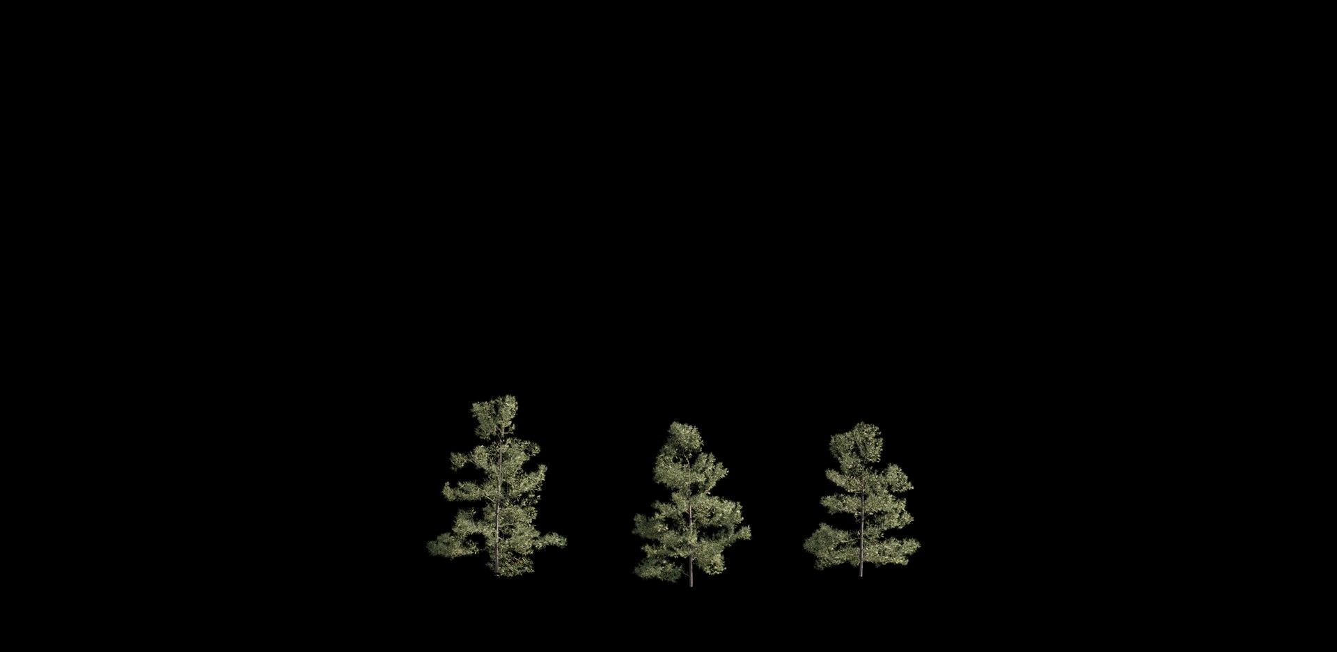 3D Pinus Brutia Pines Corona Model - TurboSquid 1603998